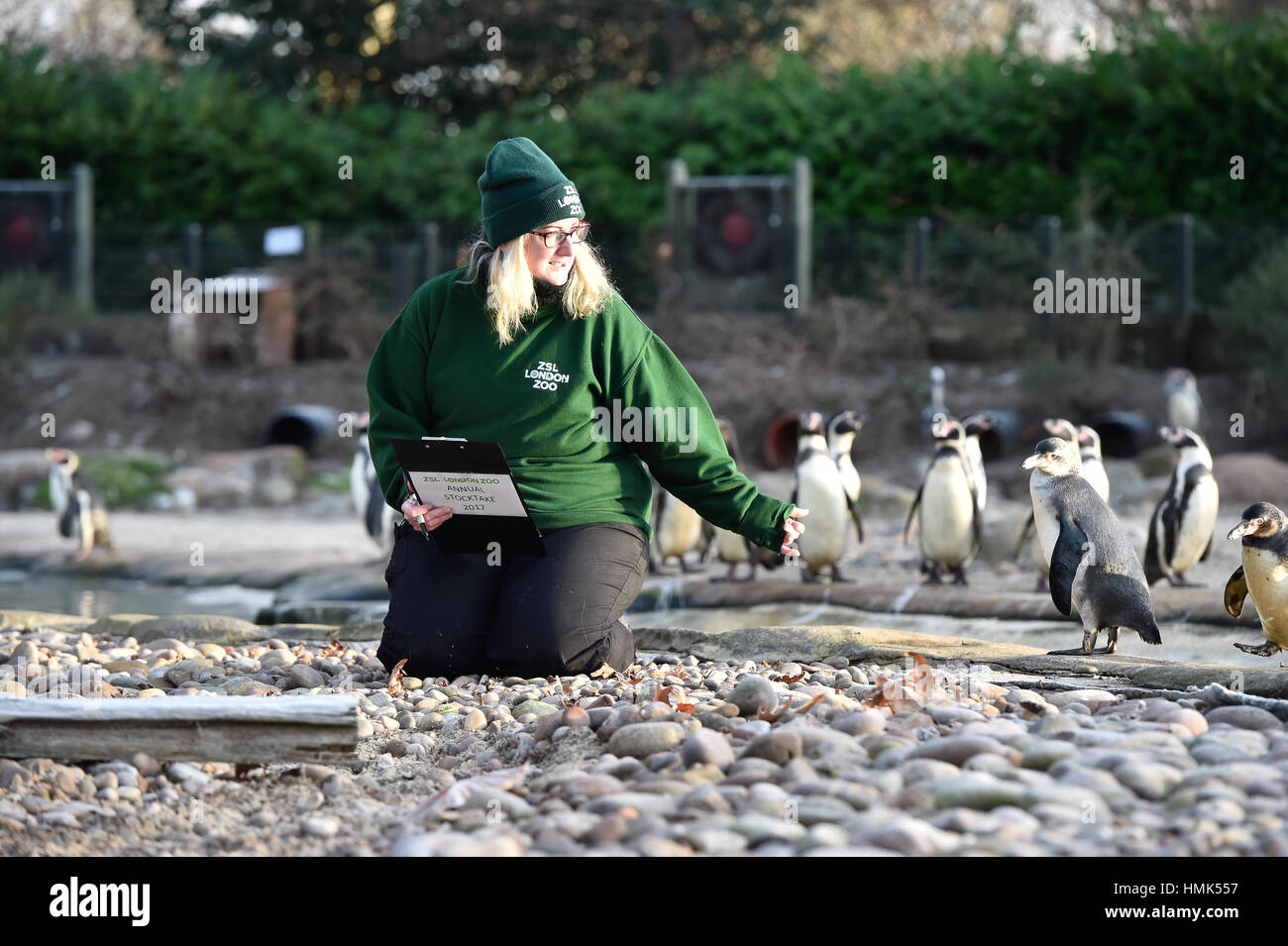 ZSL London carries out its annual stock take at London Zoo, Regents ...