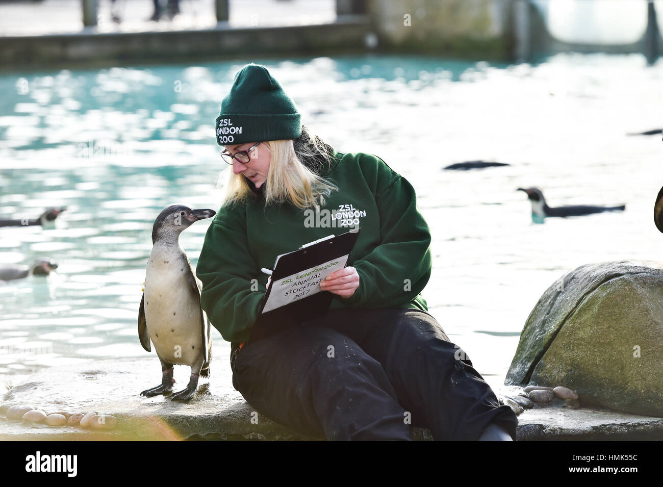 ZSL London carries out its annual stock take at London Zoo, Regents ...