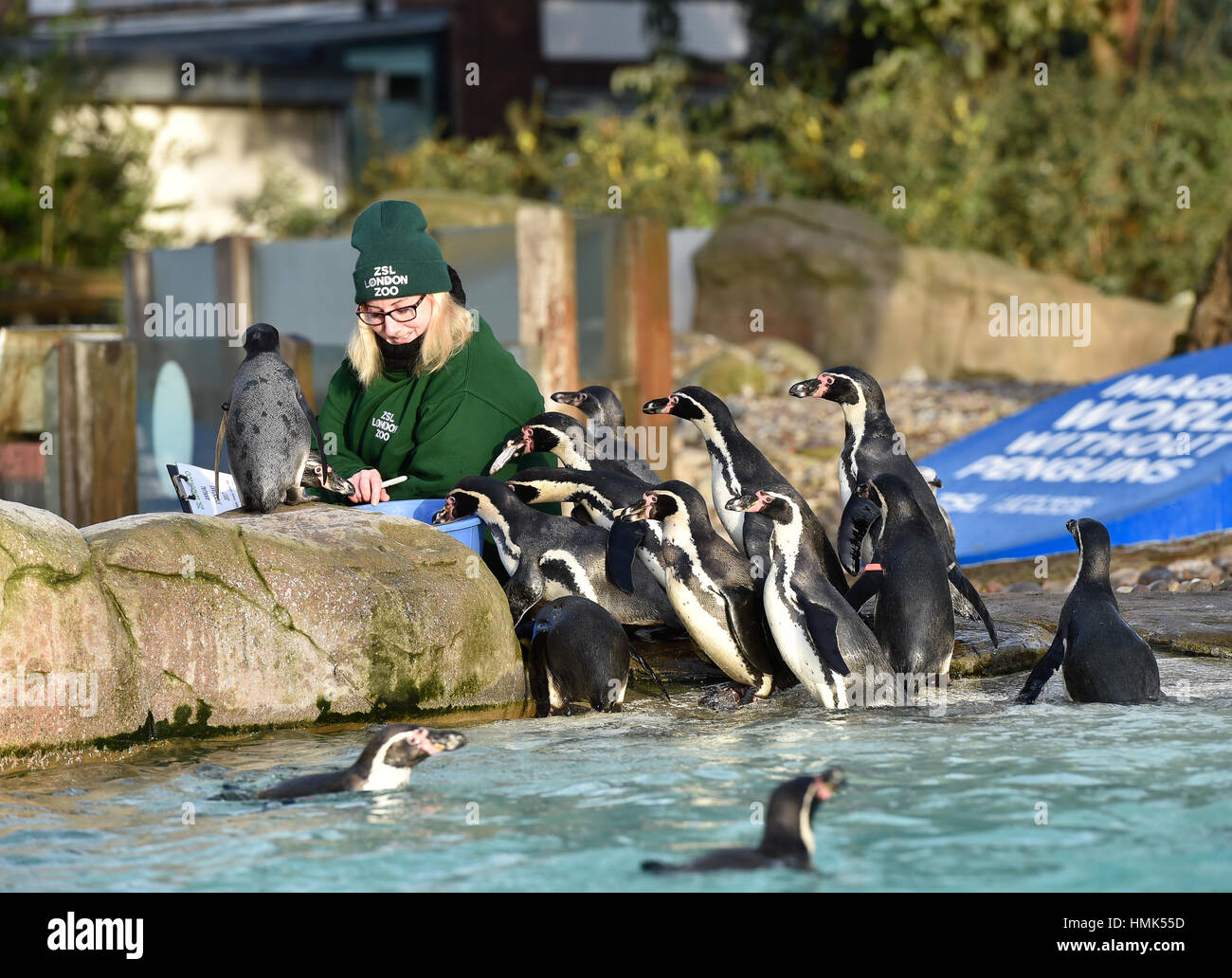 ZSL London carries out its annual stock take at London Zoo, Regents ...