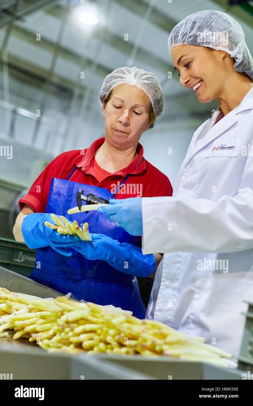 Canning production line hi-res stock photography and images - Alamy