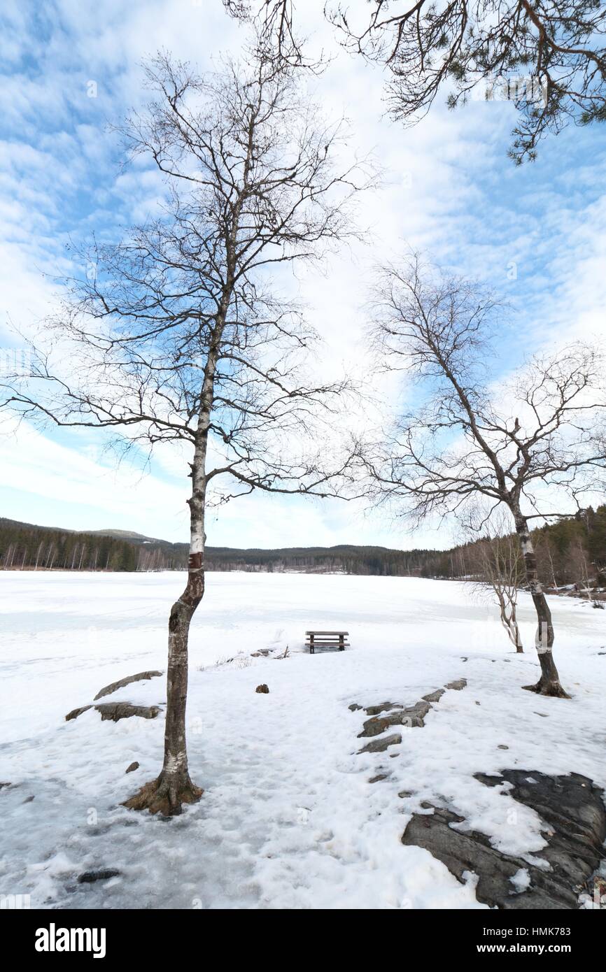 Sognsvann lake in Oslo surroundings, Norway Stock Photo - Alamy
