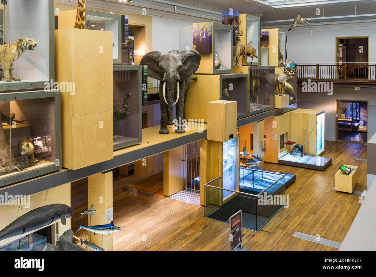 Hancock museum newcastle upon tyne hi-res stock photography and images ...