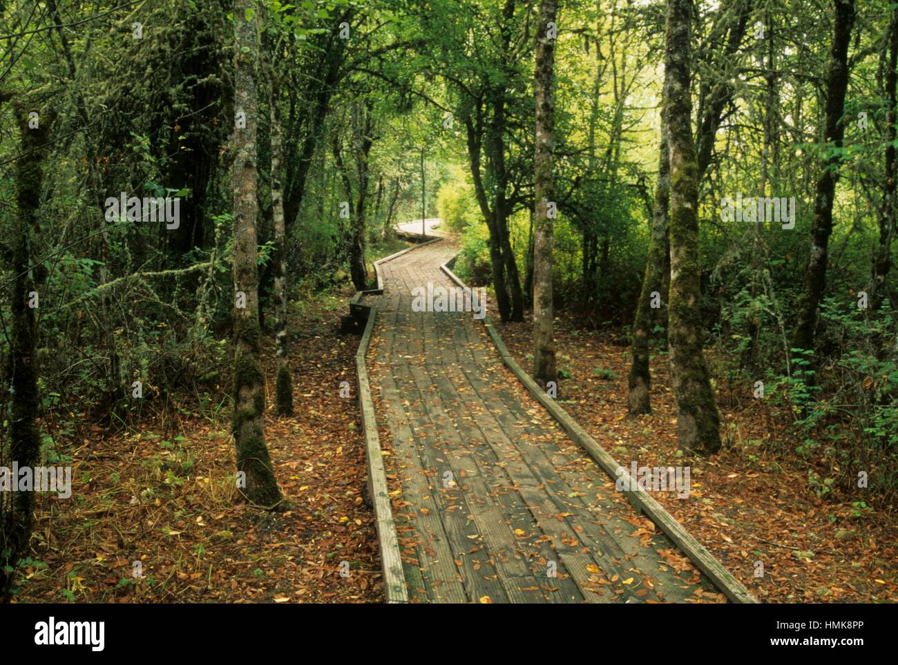 Jackson frazier wetland park hi-res stock photography and images - Alamy