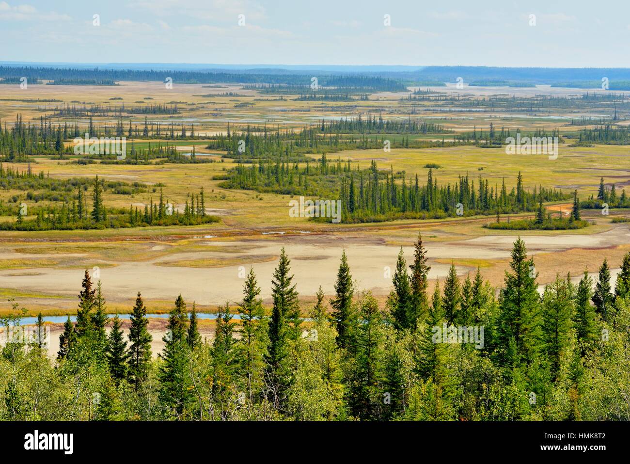Wood Buffalo National Park Salt Plains High Resolution Stock ...