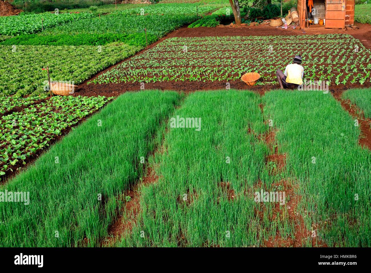 Living in rural africa hi-res stock photography and images - Alamy