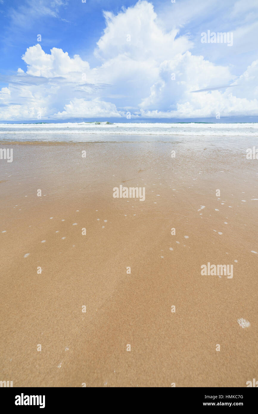 Tropical beach shore sunny hi-res stock photography and images - Alamy