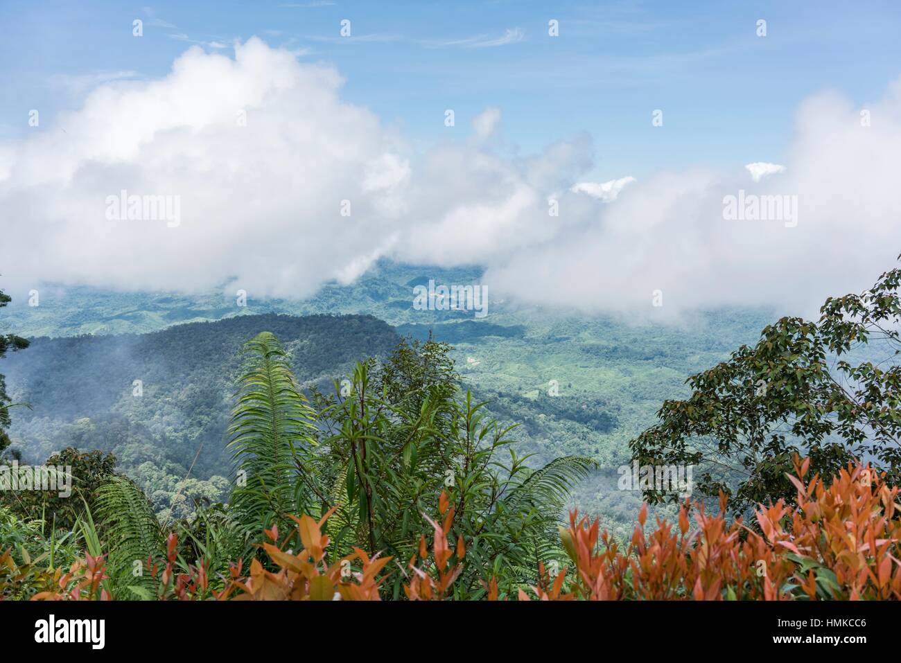 The Panoramic View Of Borneo Highlands, Sarawak, Malaysia Stock Photo ...