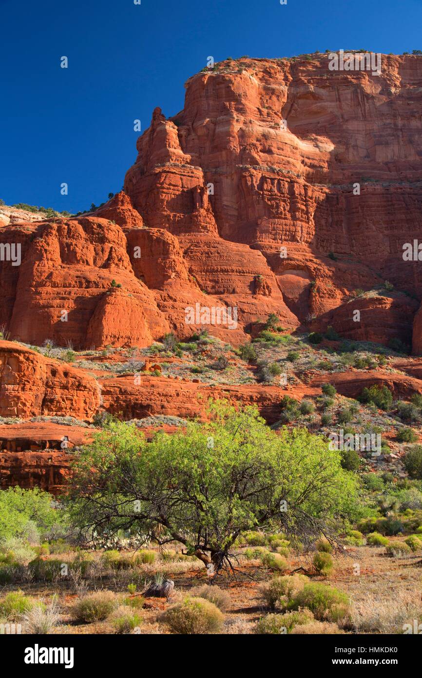Courthouse butte loop trail hi-res stock photography and images - Alamy