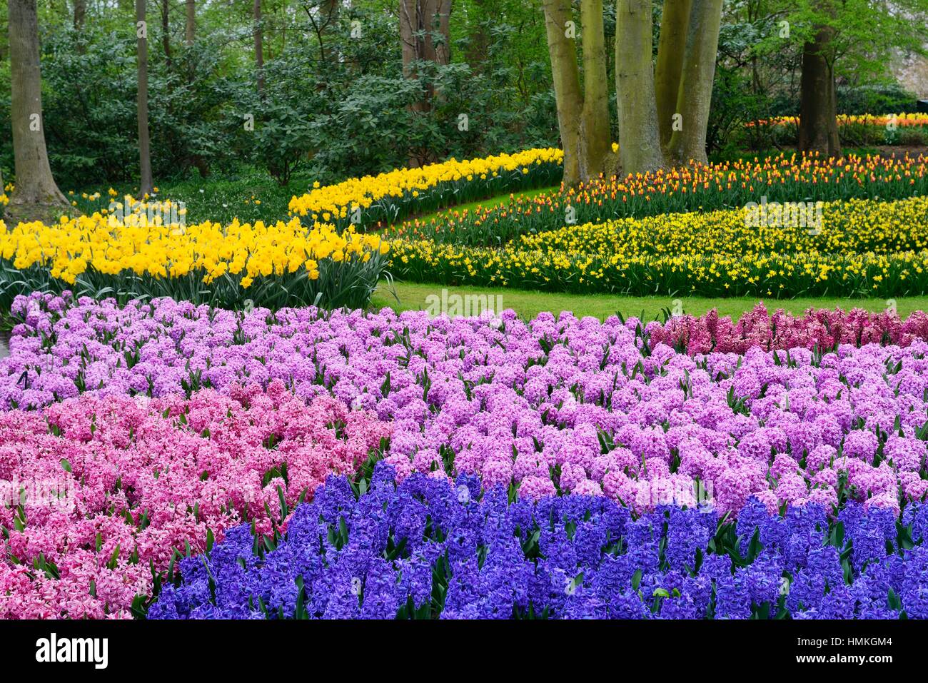 Dutch garden design hi-res stock photography and images - Alamy