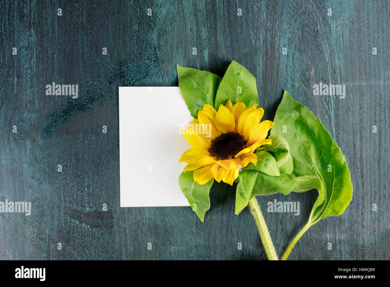 Water mocca hi-res stock photography and images - Alamy
