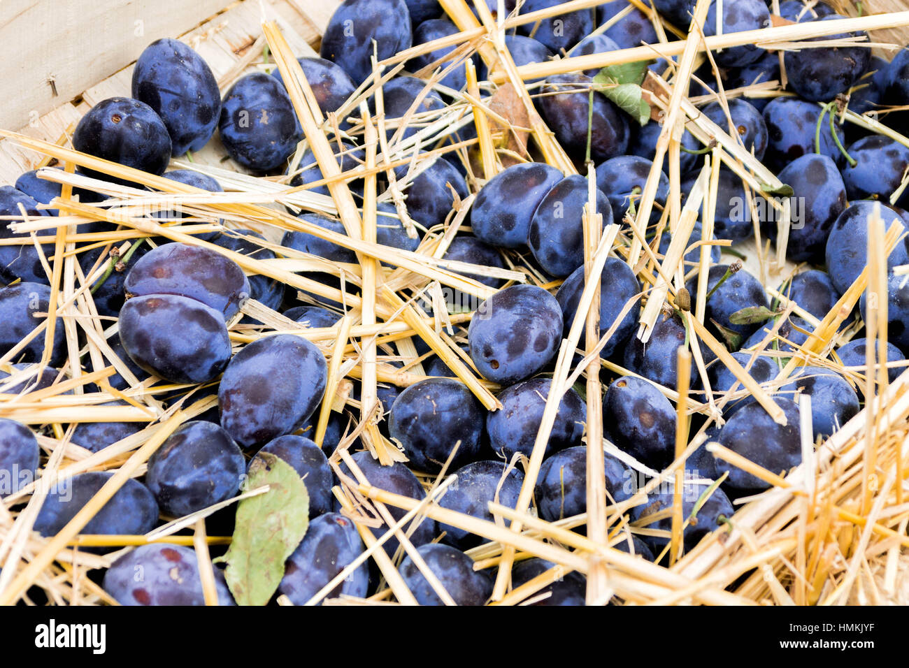 Plum and relish hi-res stock photography and images - Alamy