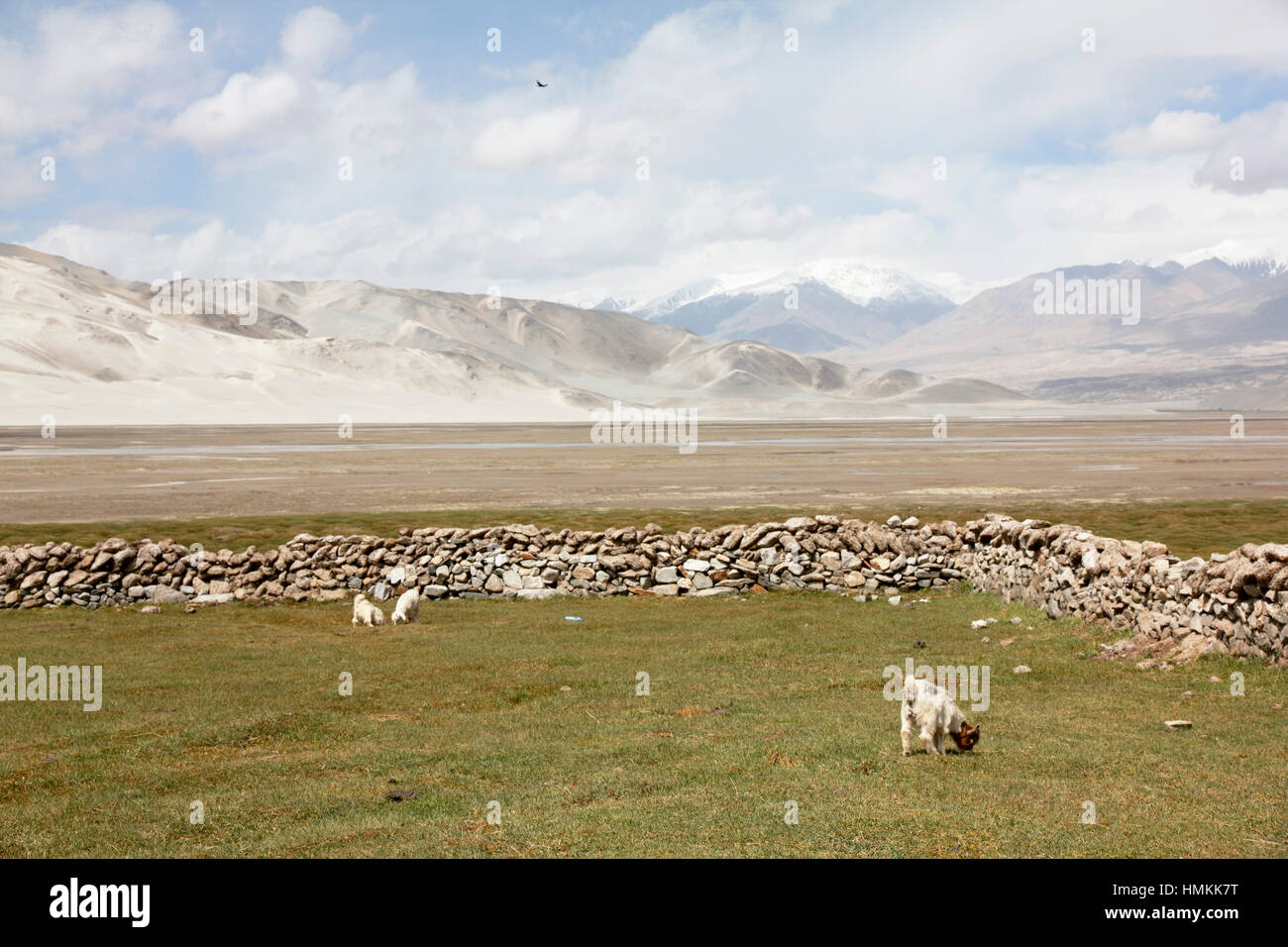 White Sands Mountains and Bulung Kul Lake Stock Photo - Alamy