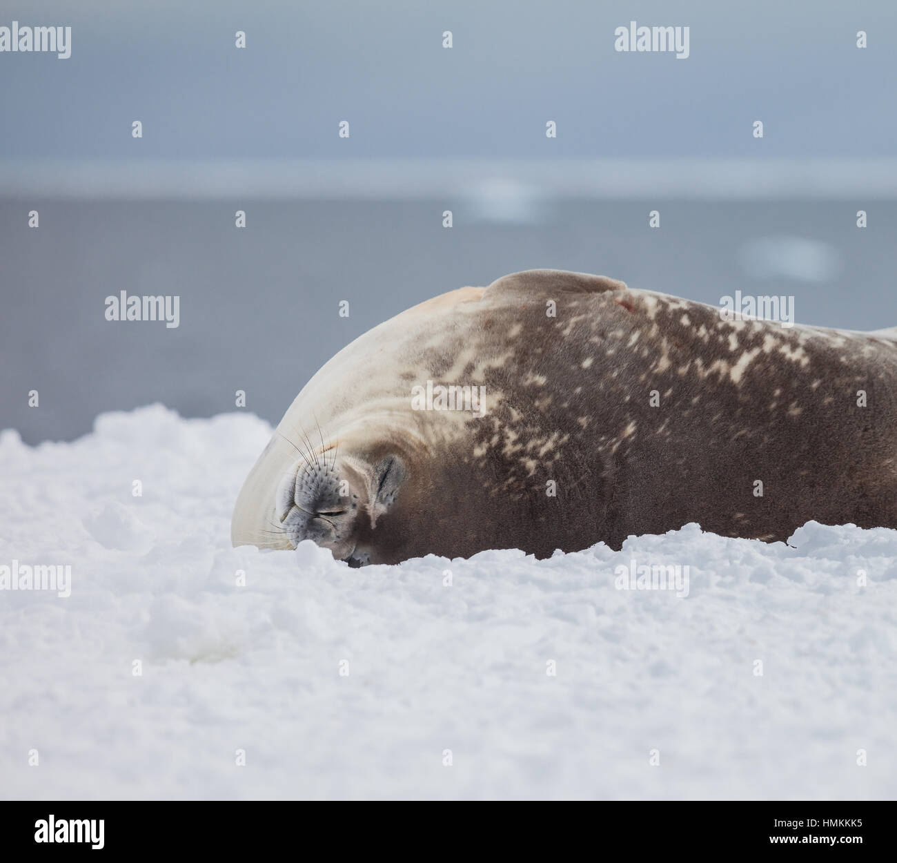 Relex hi-res stock photography and images - Alamy