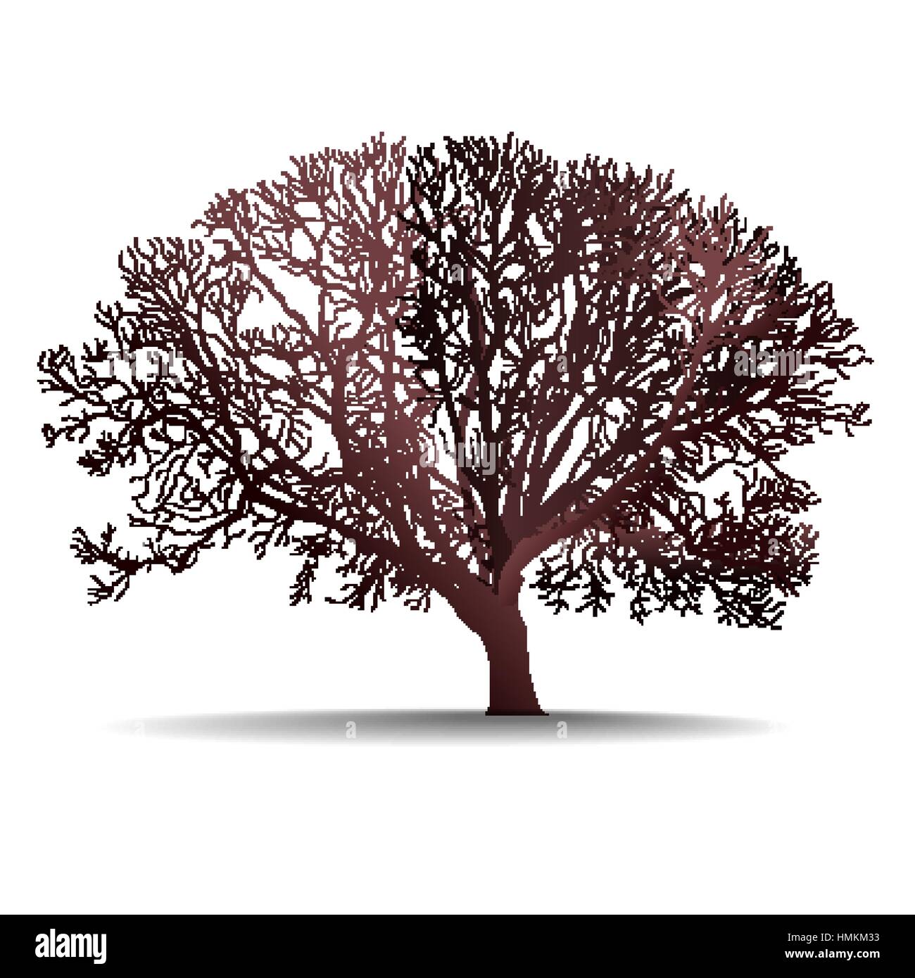leafless tree isolated vector illustration on white background Stock ...