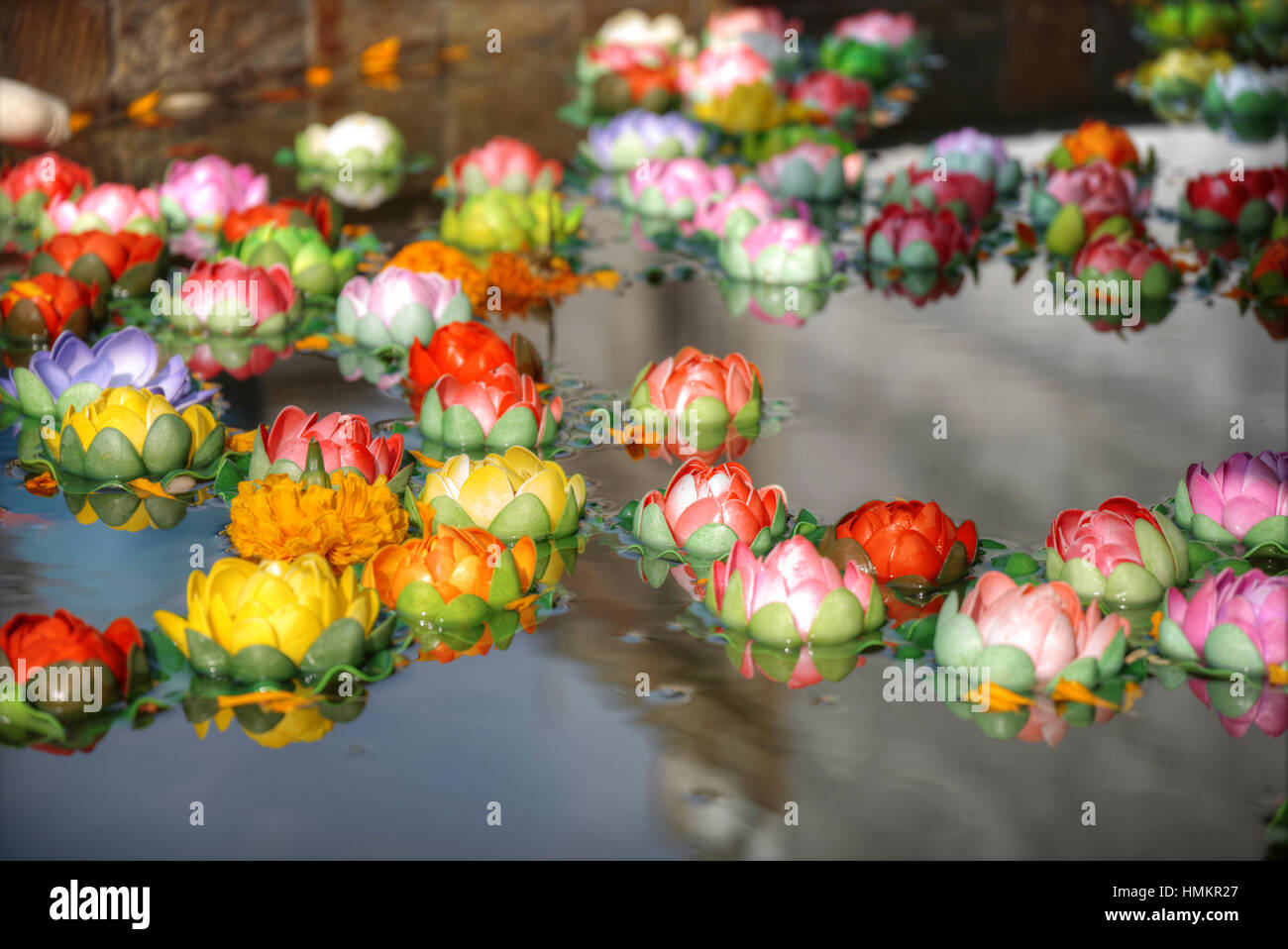 In Buddhism, the lotus is a traditional symbol of purity Stock Photo ...