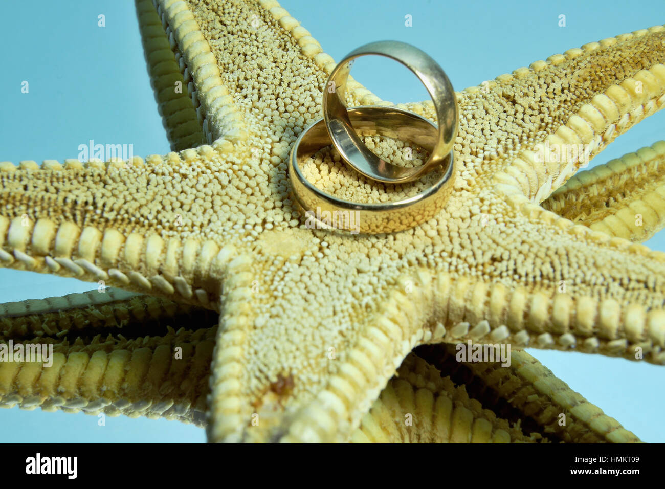 Pair of wedding rings on starfish Stock Photo - Alamy