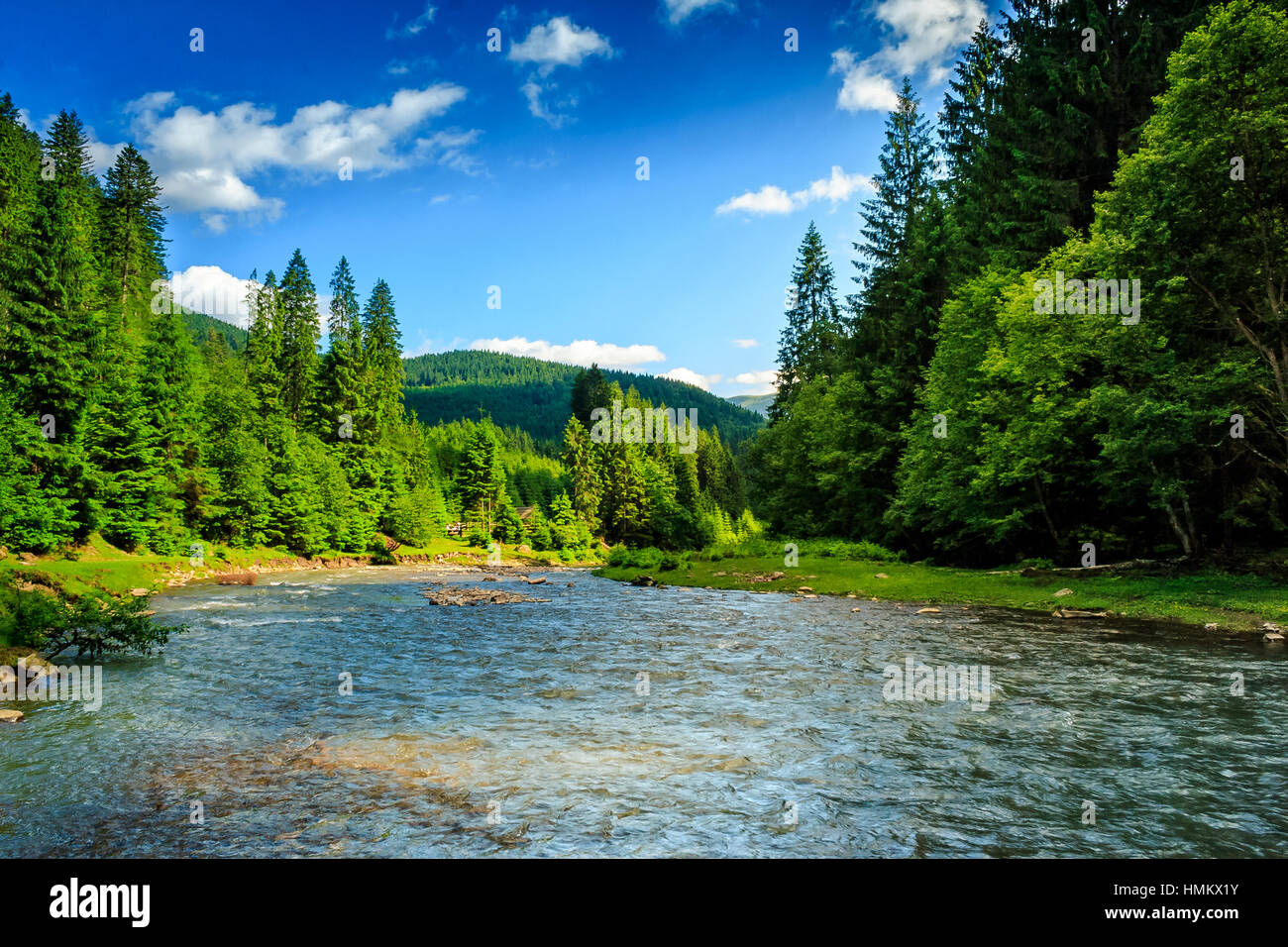 amazing blue and crystal clear water in mountain river among spruce ...