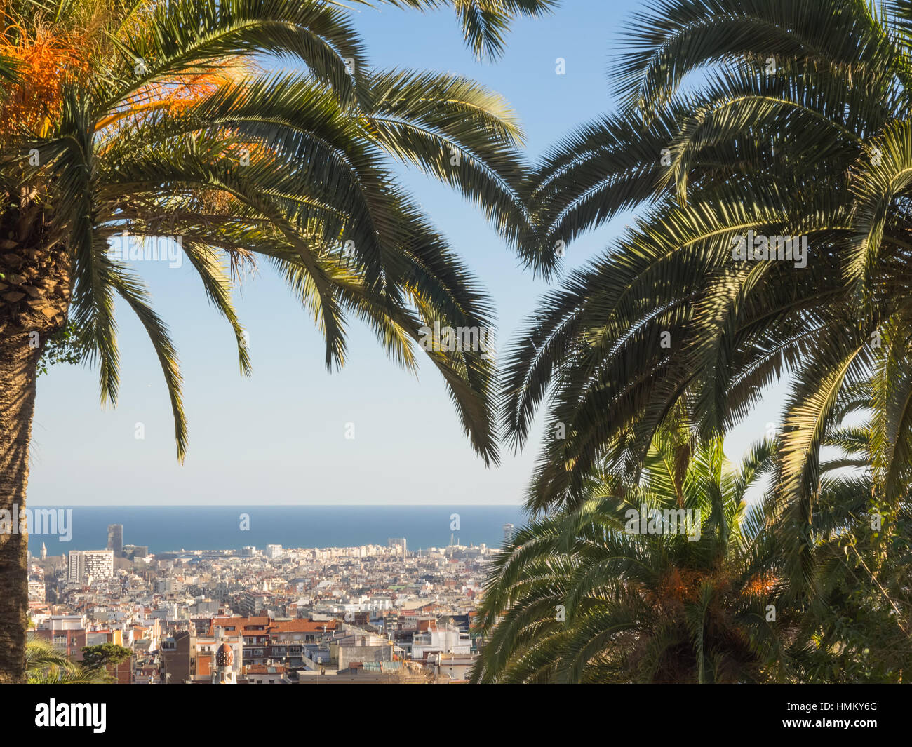 Aerial view of Barcelona, Spain, framed by palm trees Stock Photo - Alamy