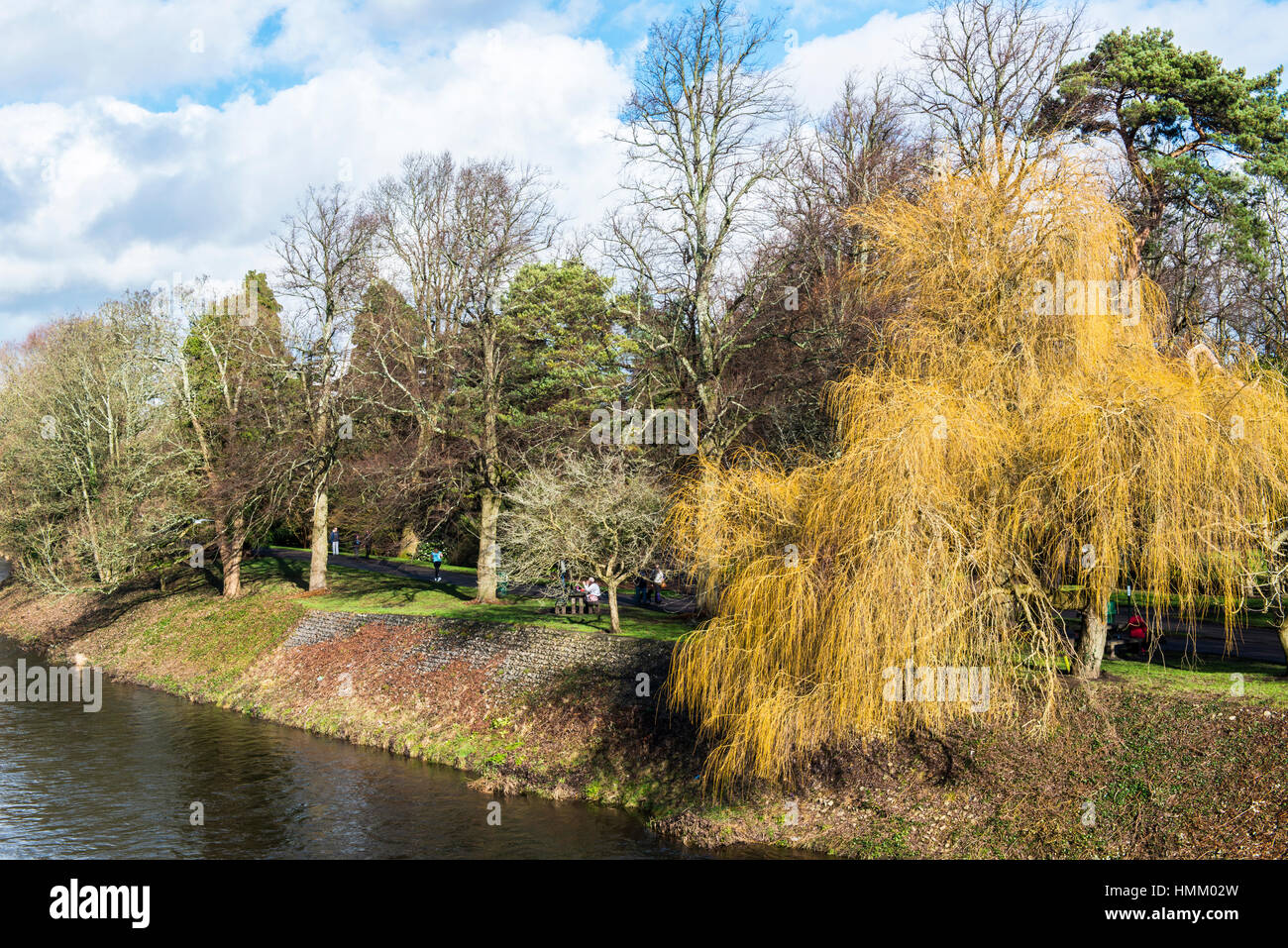 Taff embankment hi-res stock photography and images - Alamy