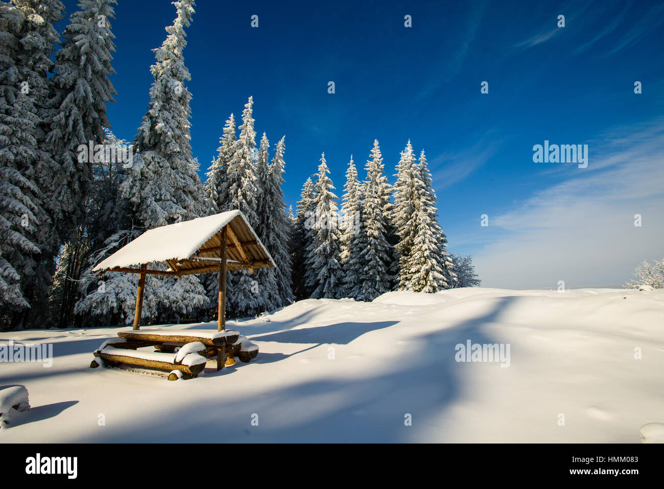 magical winter snow covered tree Stock Photo - Alamy