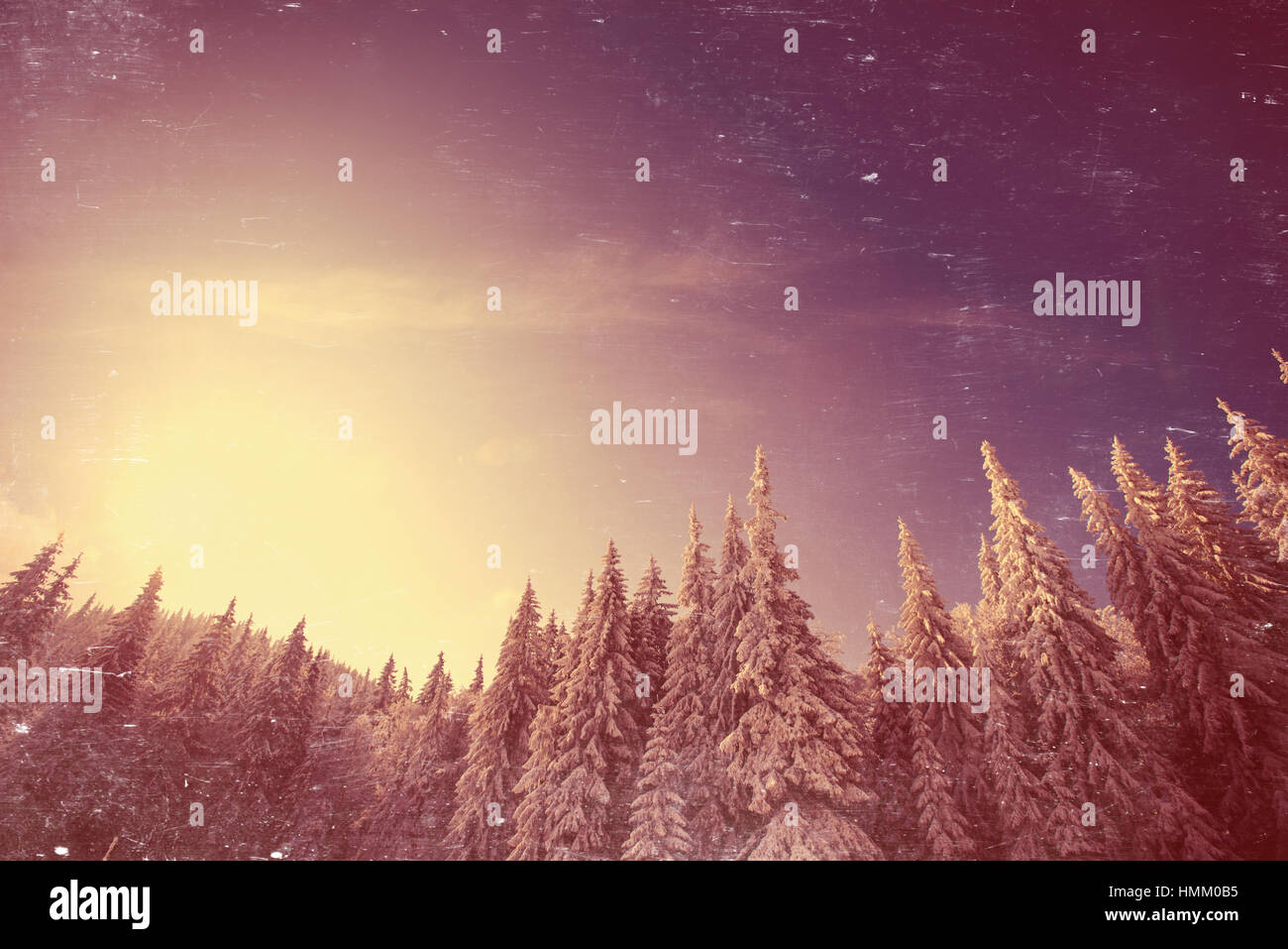 magical winter snow covered tree Stock Photo - Alamy