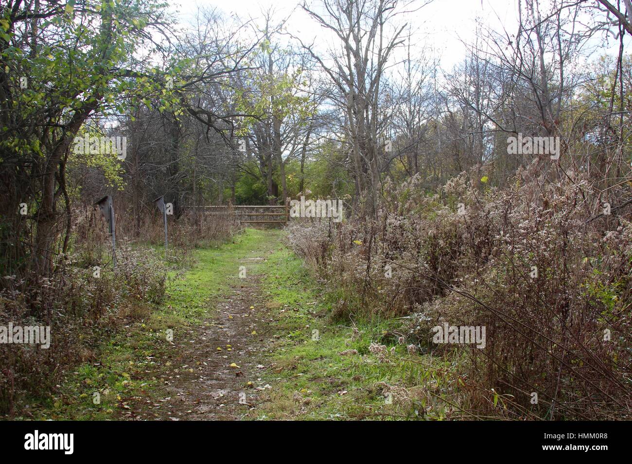 The grass nature trail Stock Photo - Alamy