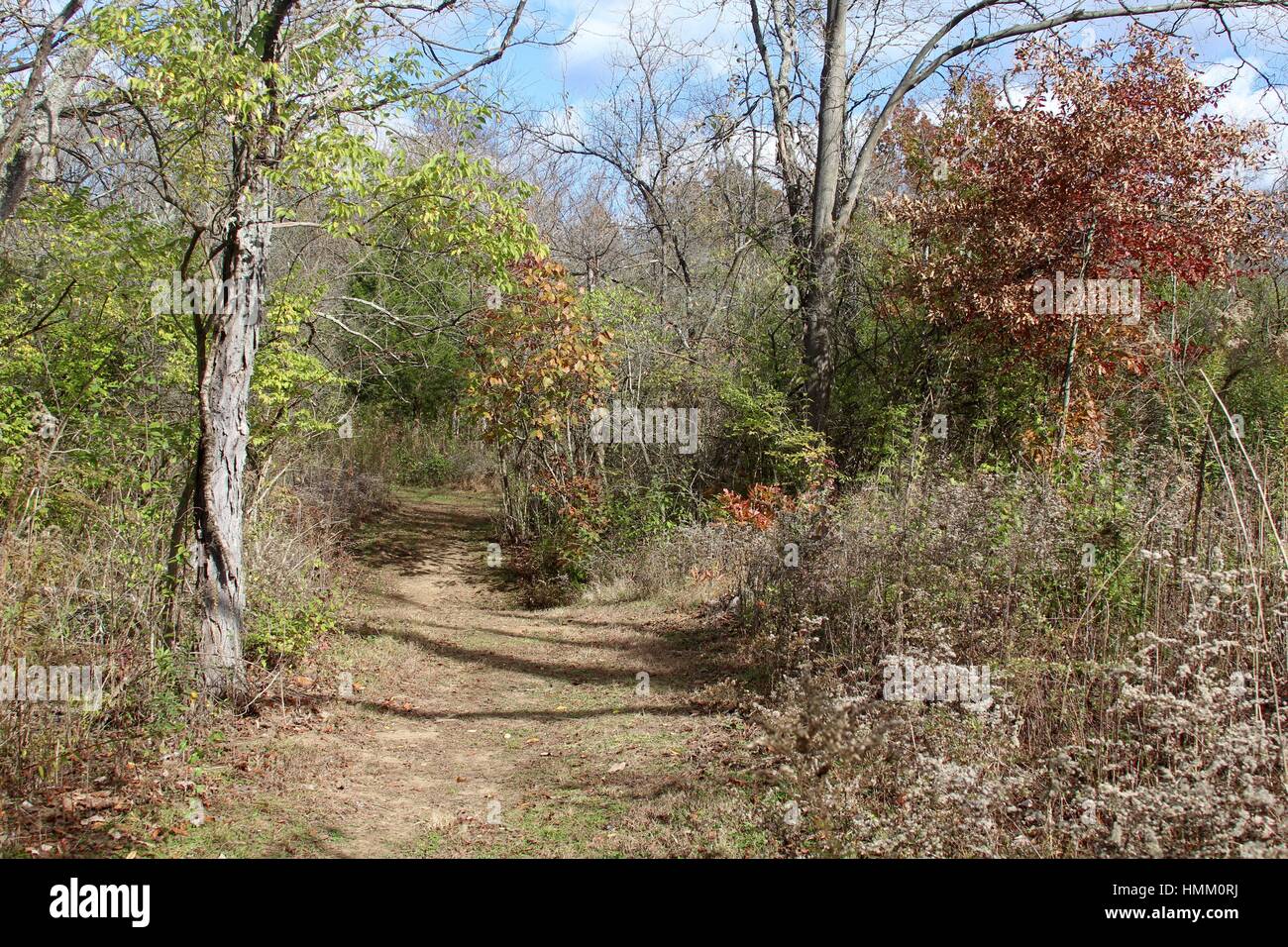 The grass nature trail Stock Photo - Alamy