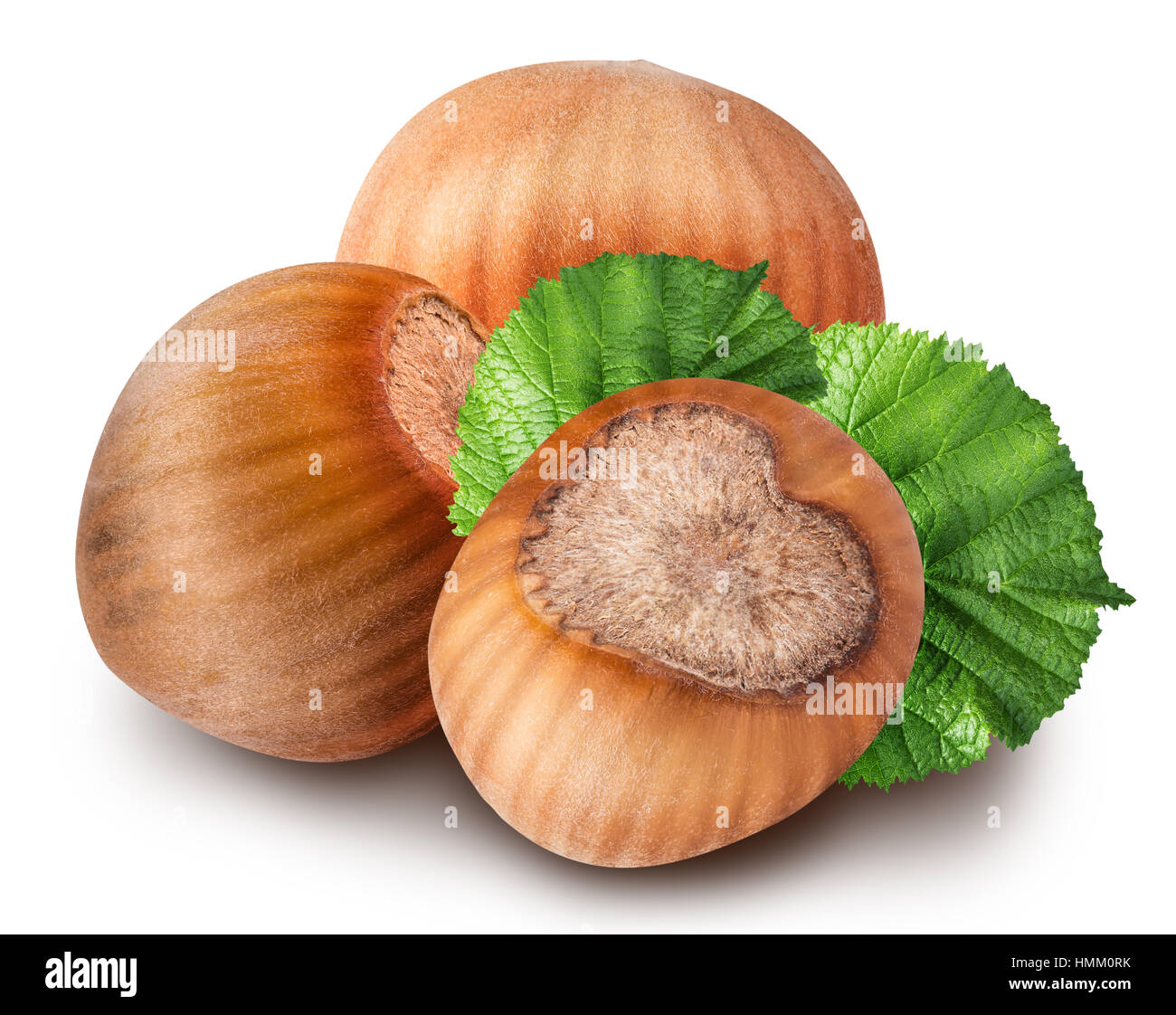 group of hazelnuts isolated on white backround with clipping path Stock ...