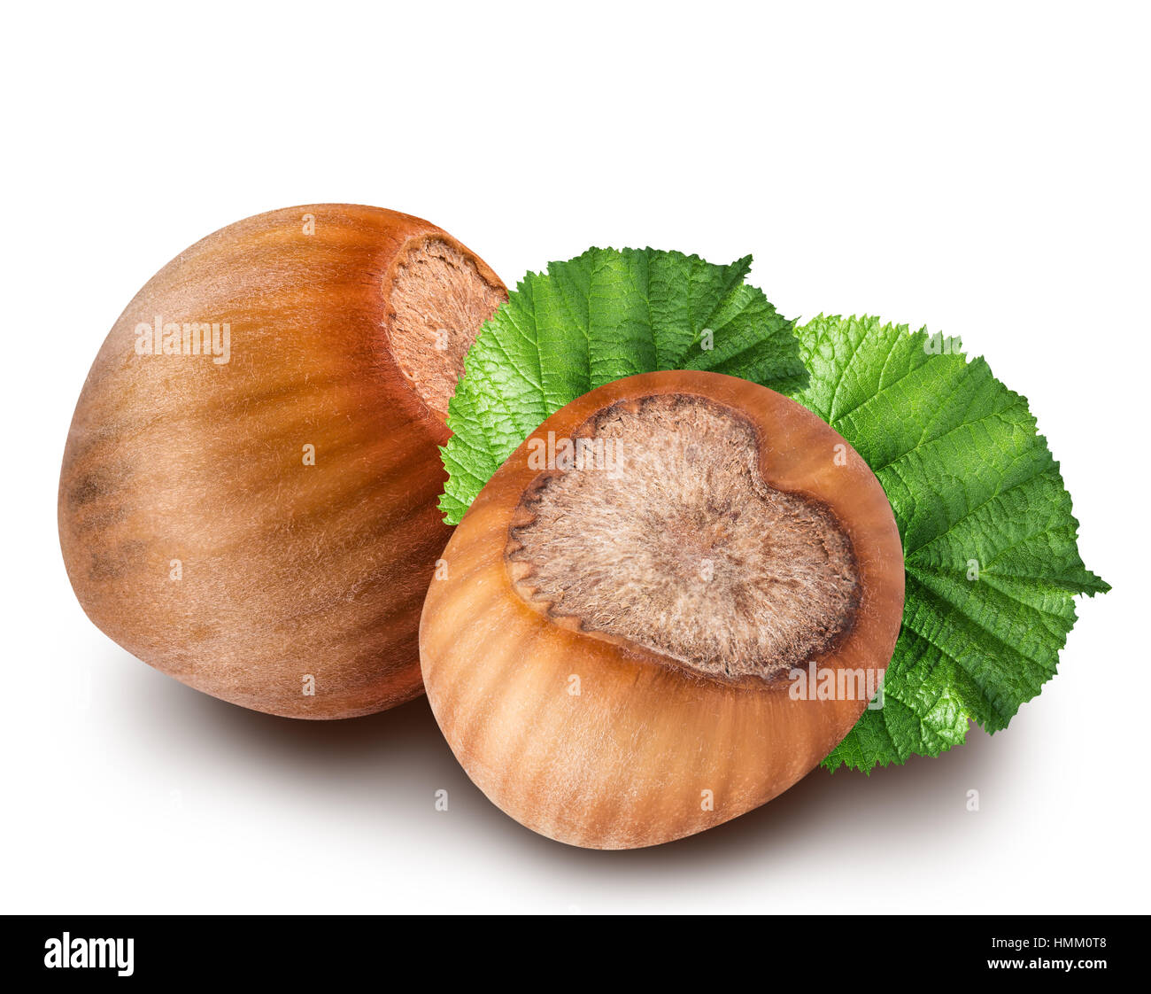 group of hazelnuts isolated on white backround with clipping path Stock ...