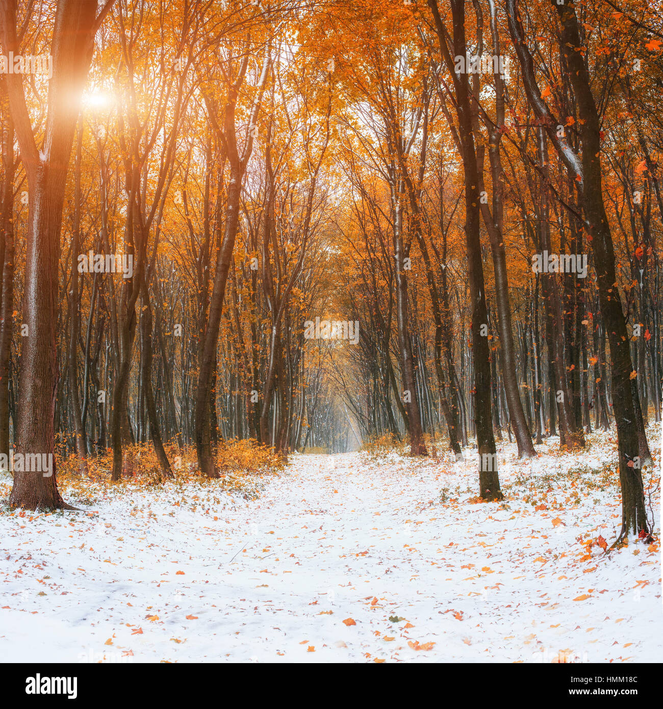 first days of winter Stock Photo - Alamy
