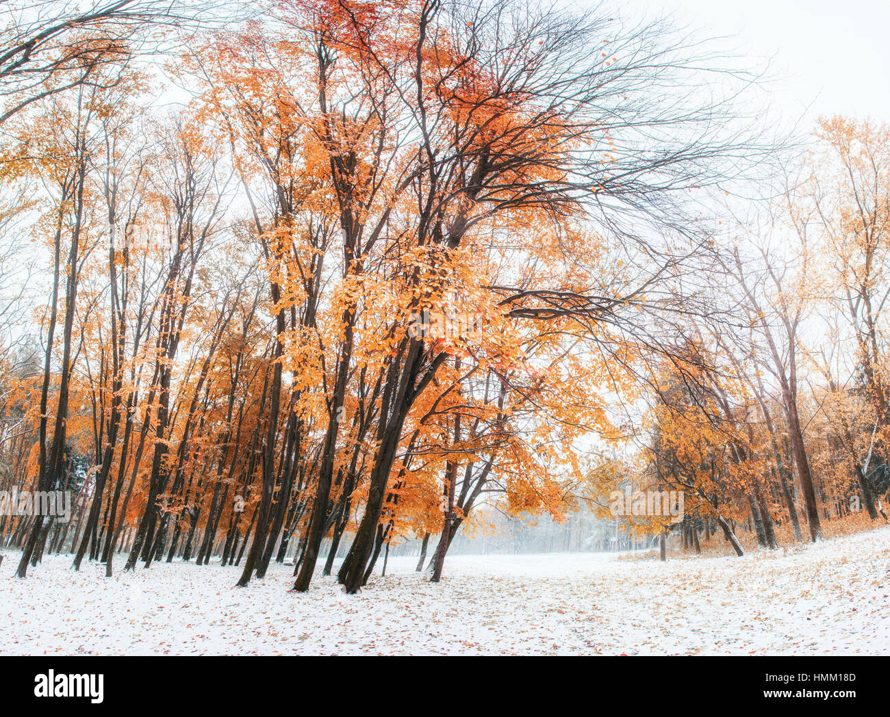 first days of winter Stock Photo - Alamy