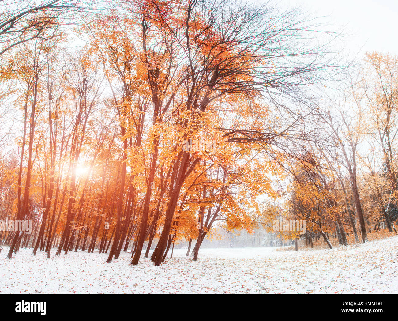 first days of winter Stock Photo - Alamy