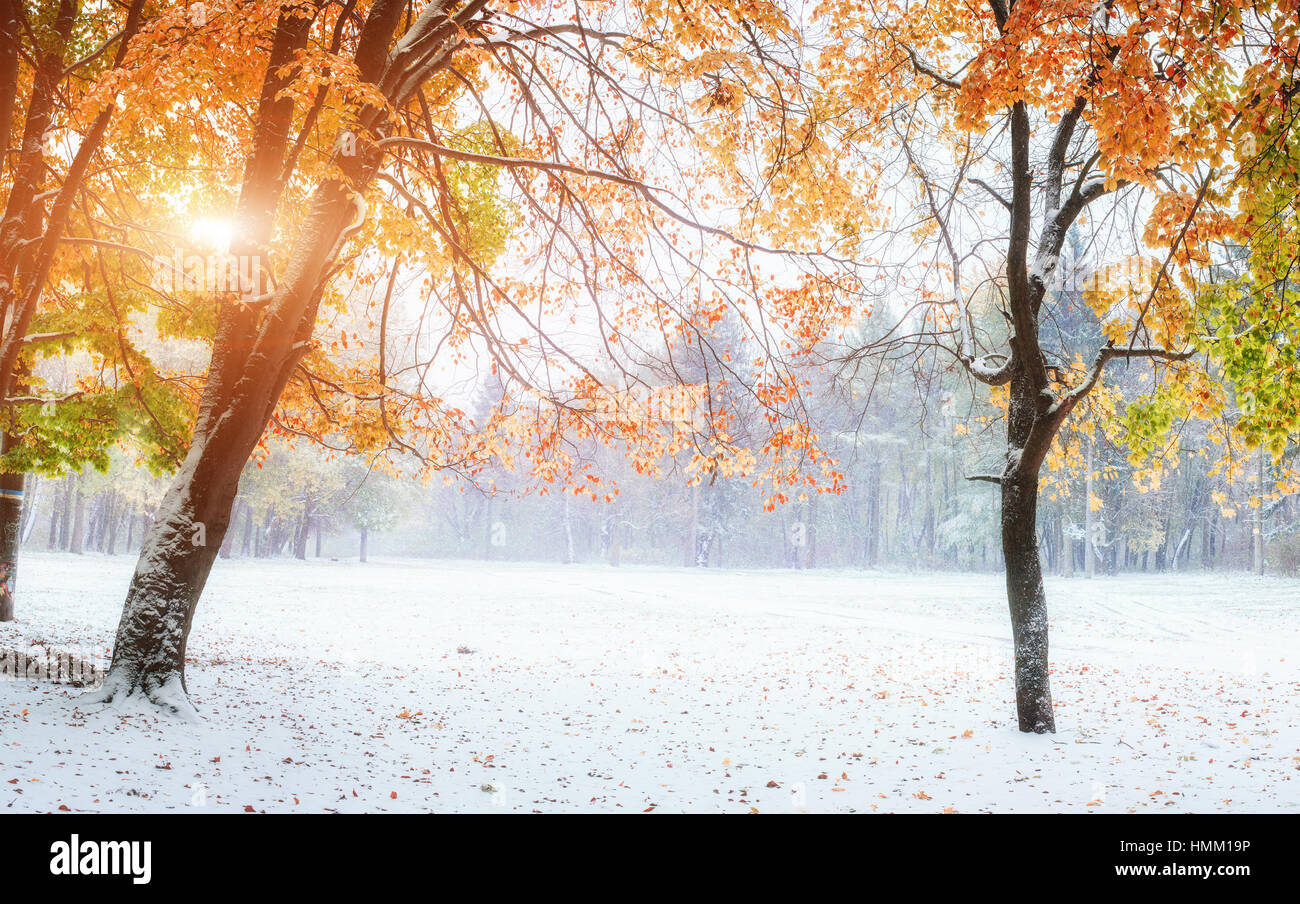 first days of winter Stock Photo - Alamy