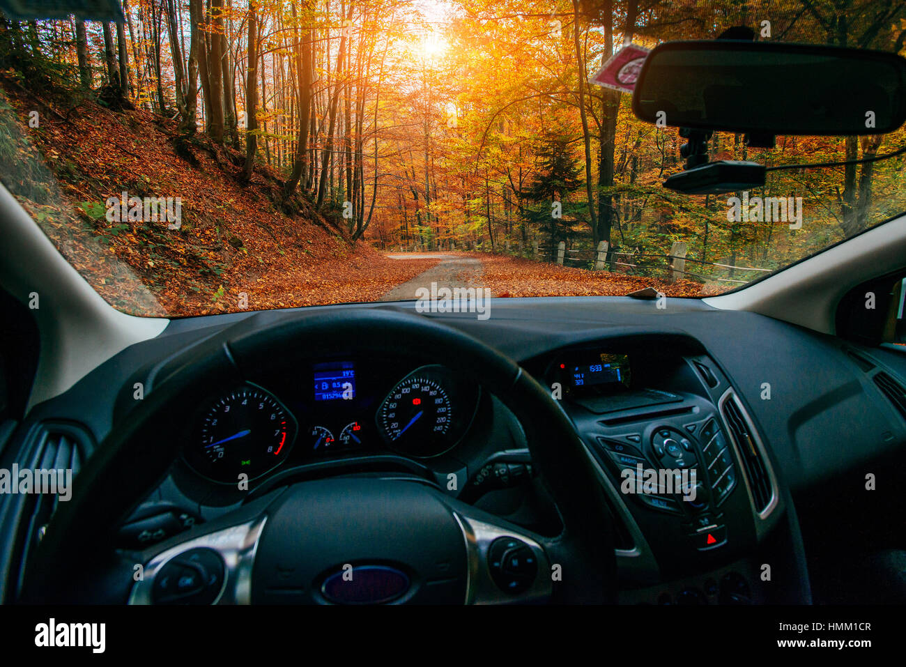 car on a forest path Stock Photo - Alamy