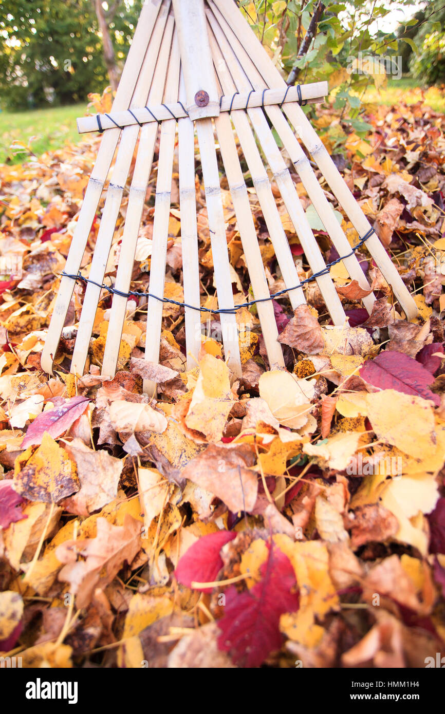 Bamboo rake hi-res stock photography and images - Alamy