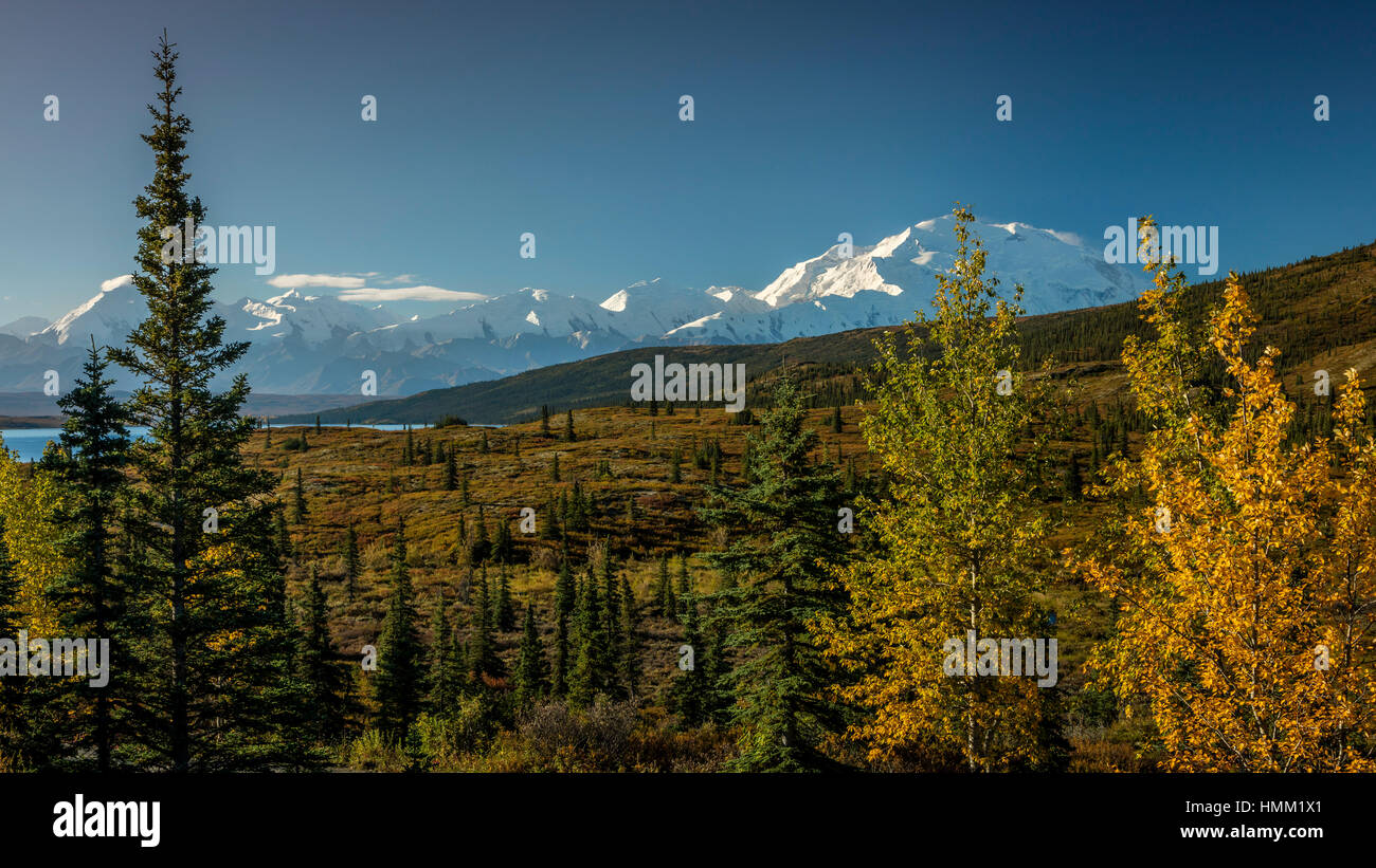 AUGUST 28, 2016 - Mount Denali previously known as Mount McKinley, the ...