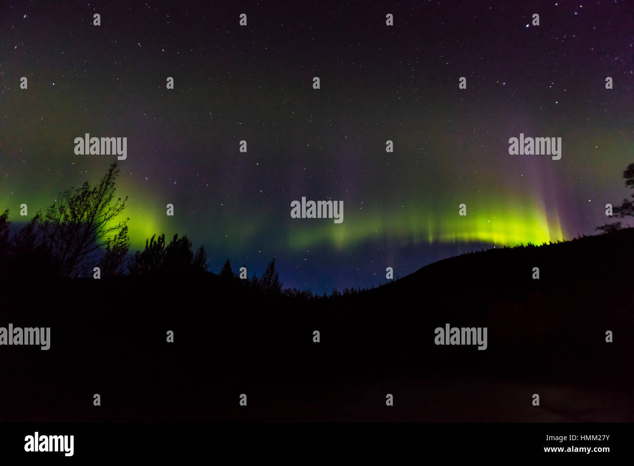 Aurora borealis denali park alaska hi-res stock photography and images ...