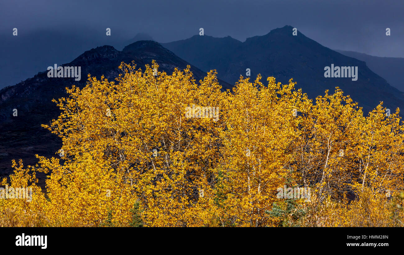 August 25, 2016 - Autumn color and foreboding Mountains in distance are ...