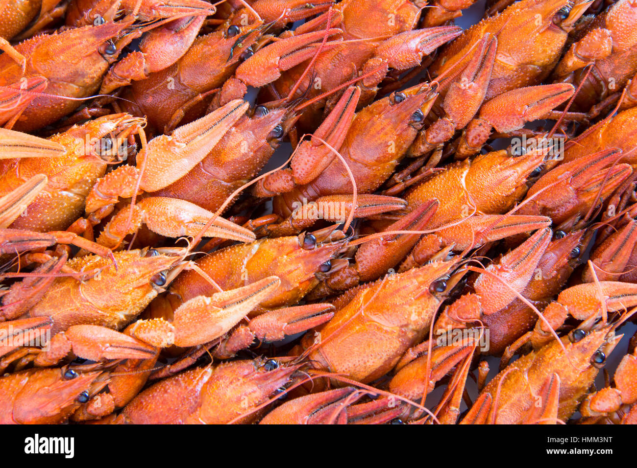 Photo of background with red boiled crawfishes Stock Photo - Alamy