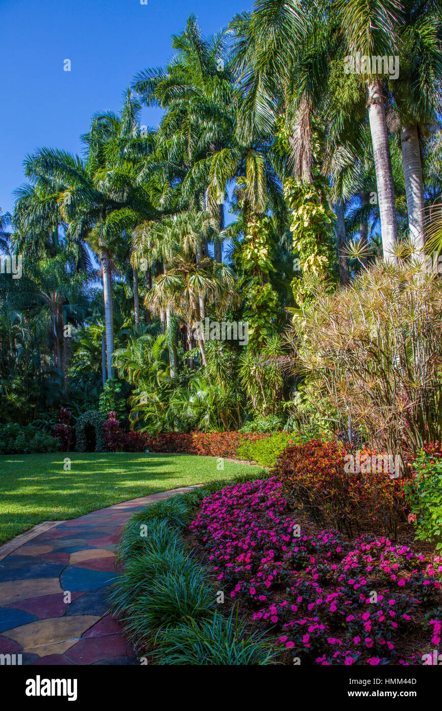 Sunken Gardens 100 year old botanical gardens in St Petersburg Florida ...