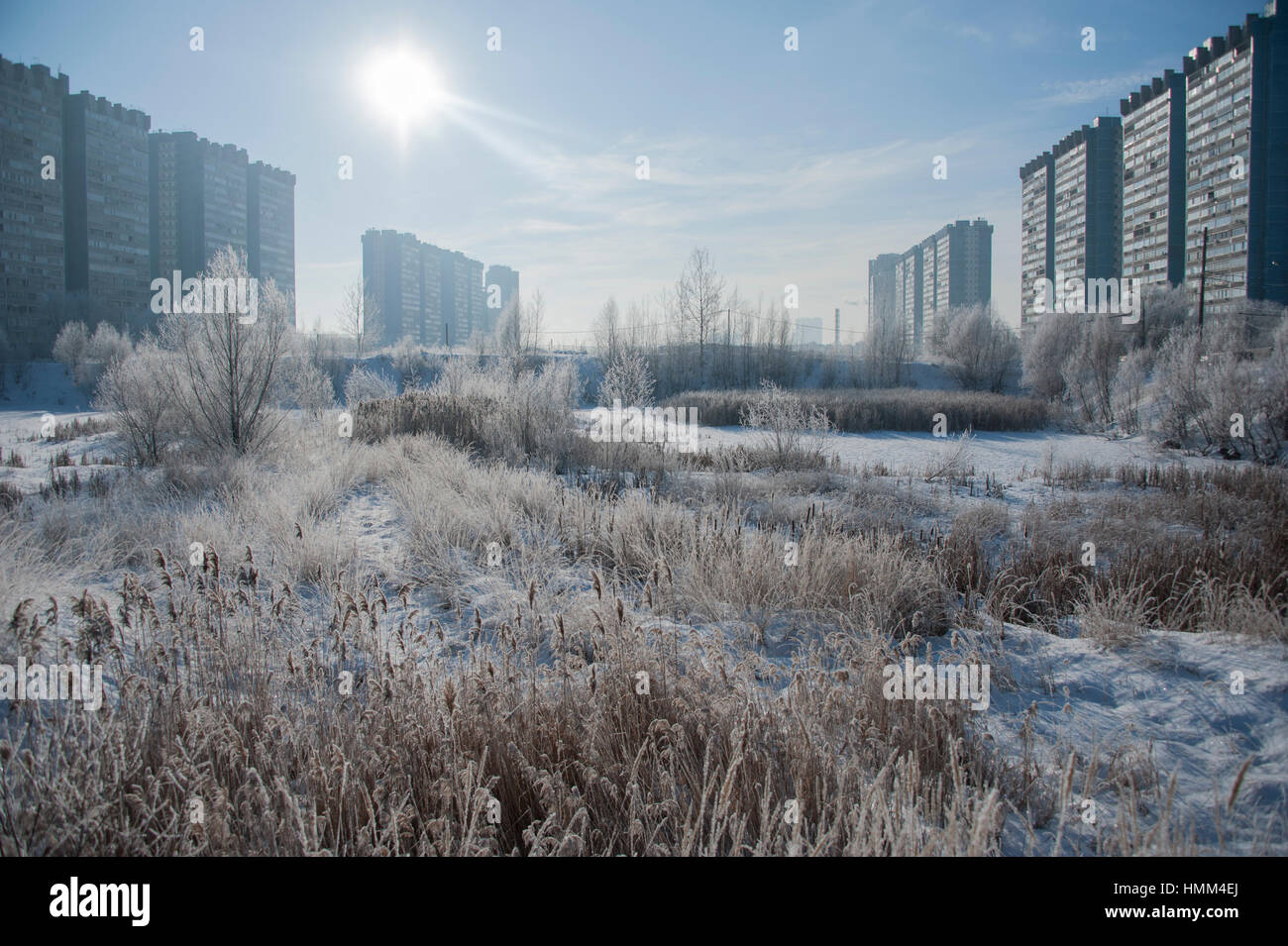 Winter view of residential area with buidlings at Yasenevo district of ...