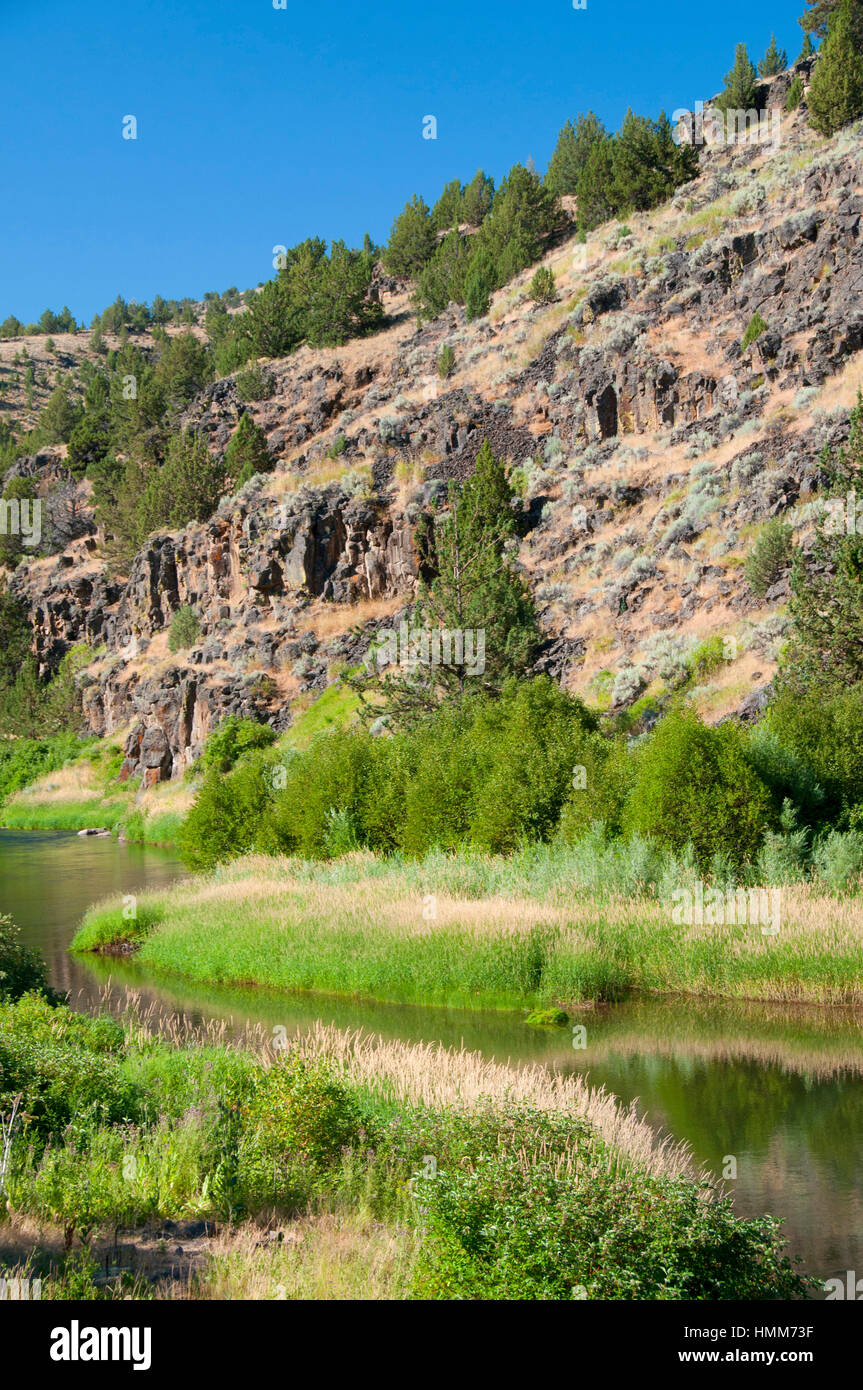 Donner und Blitzen Wild and Scenic River, Steens Mountain Recreation ...