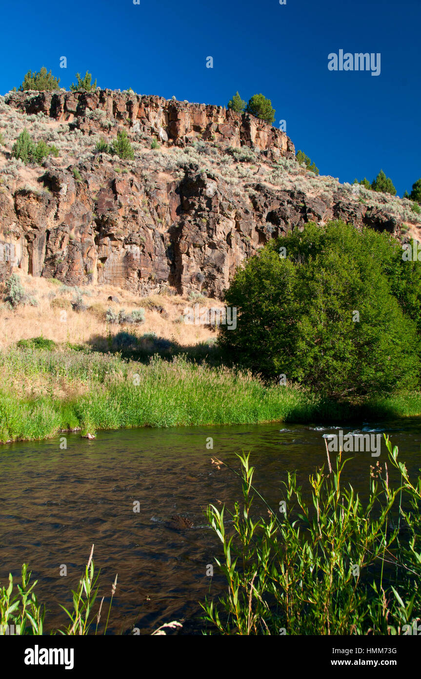 Donner und Blitzen Wild and Scenic River, Steens Mountain Recreation ...