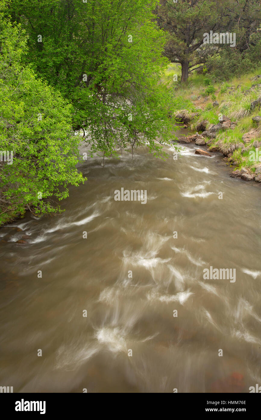 Donner und Blitzen Wild and Scenic River, Steens Mountain Cooperative ...