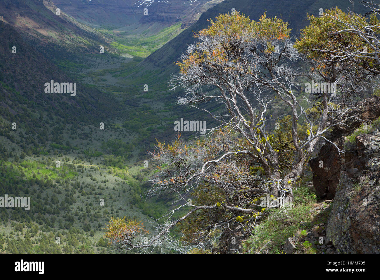 Big Indian Gorge High Resolution Stock Photography and Images - Alamy