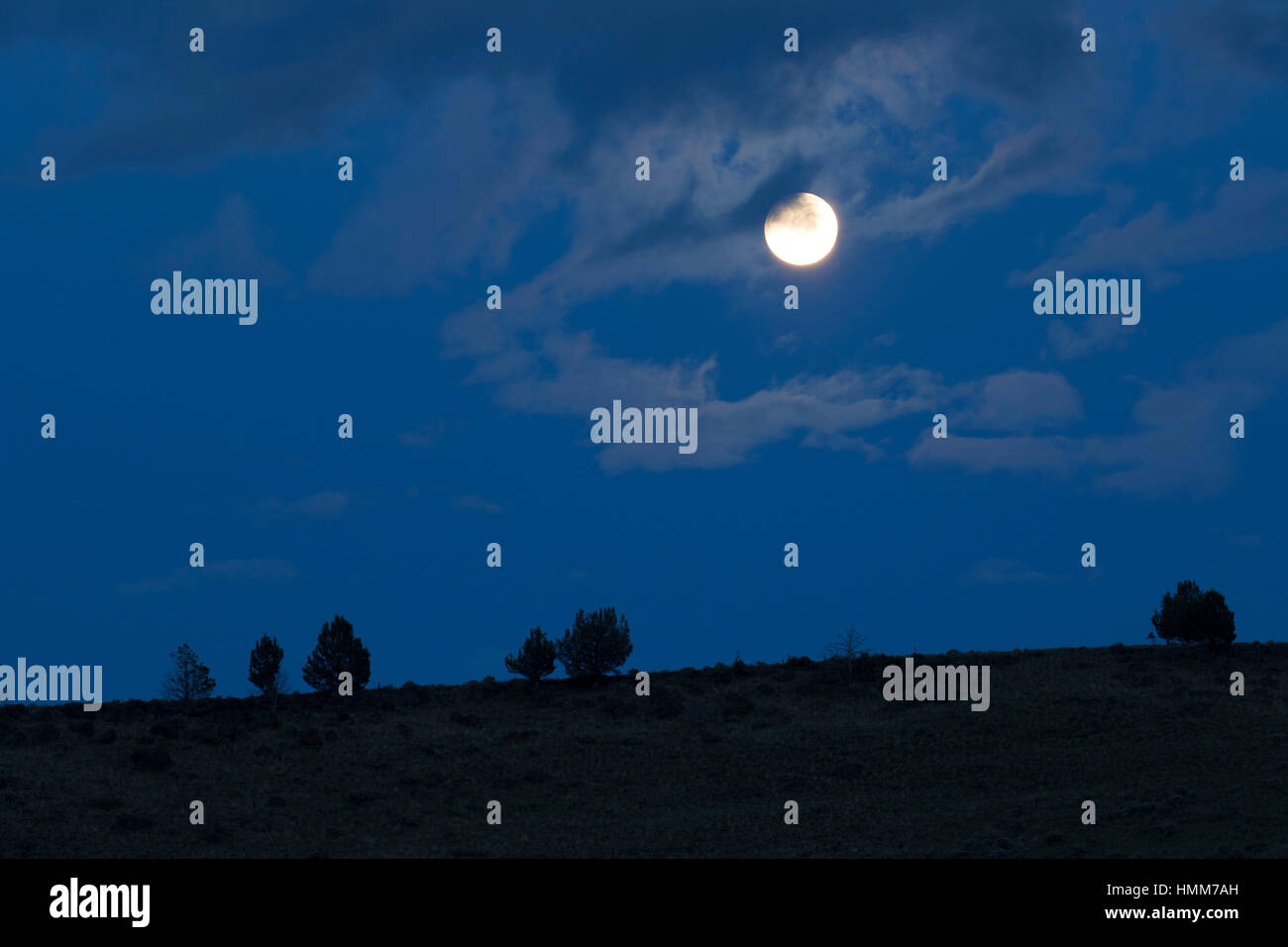 Juniper moonrise, Harney County, Oregon Stock Photo - Alamy