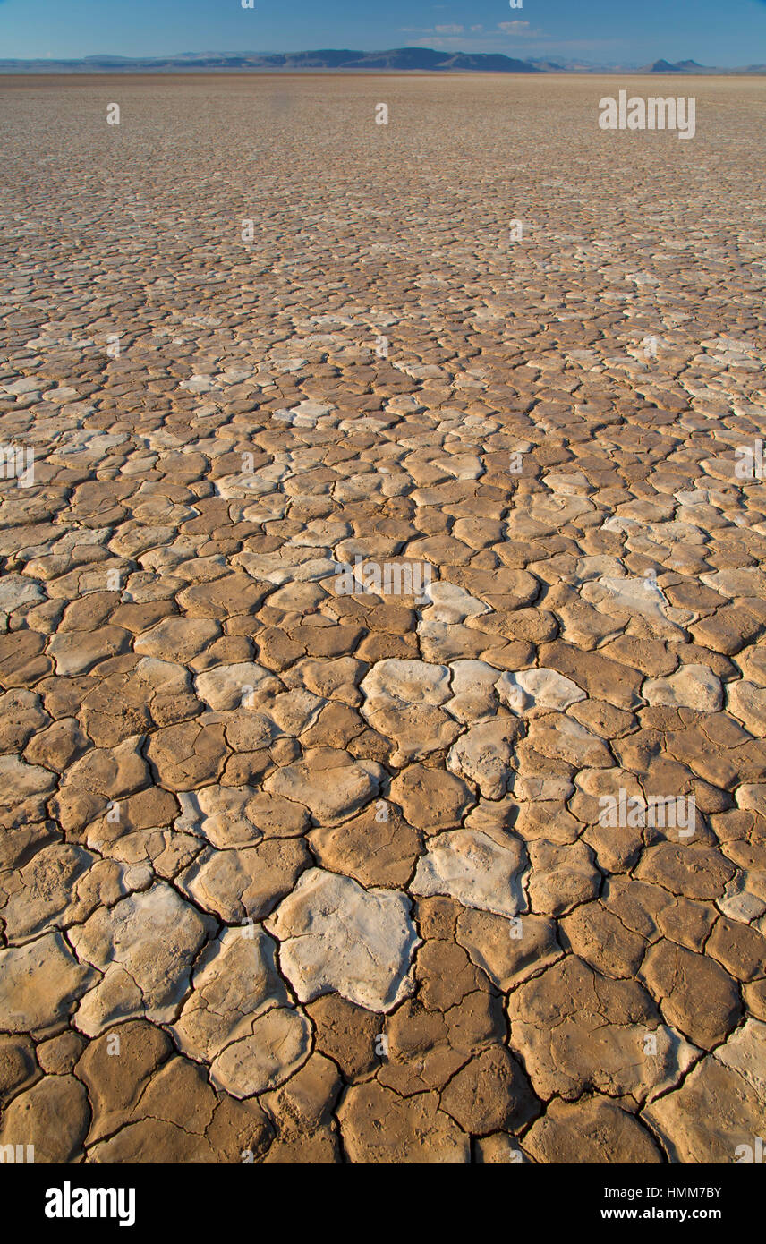 Alvord desert hi-res stock photography and images - Alamy