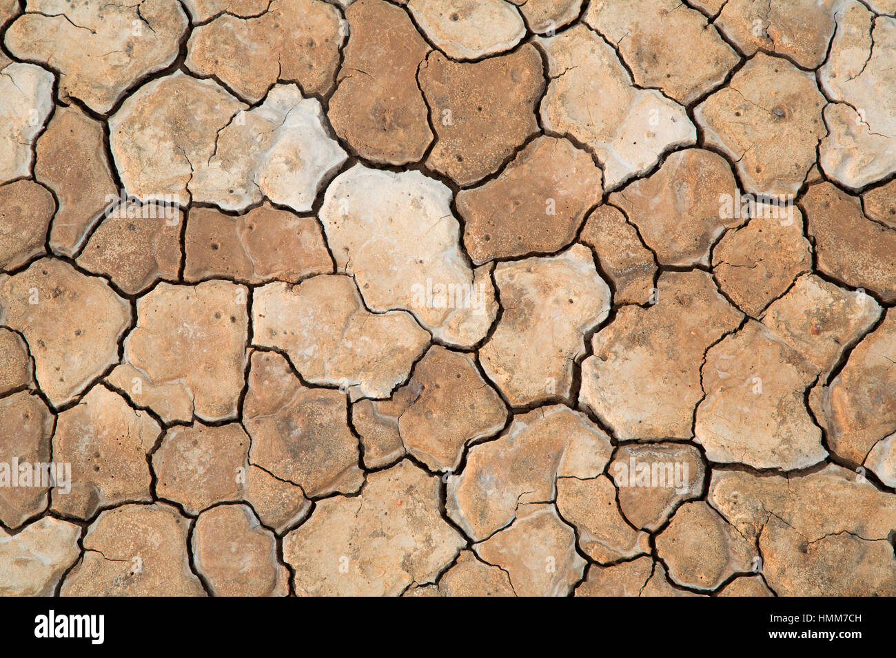Mudcracks, Alvord Desert Wilderness Study Area, East Steens Tour Route ...