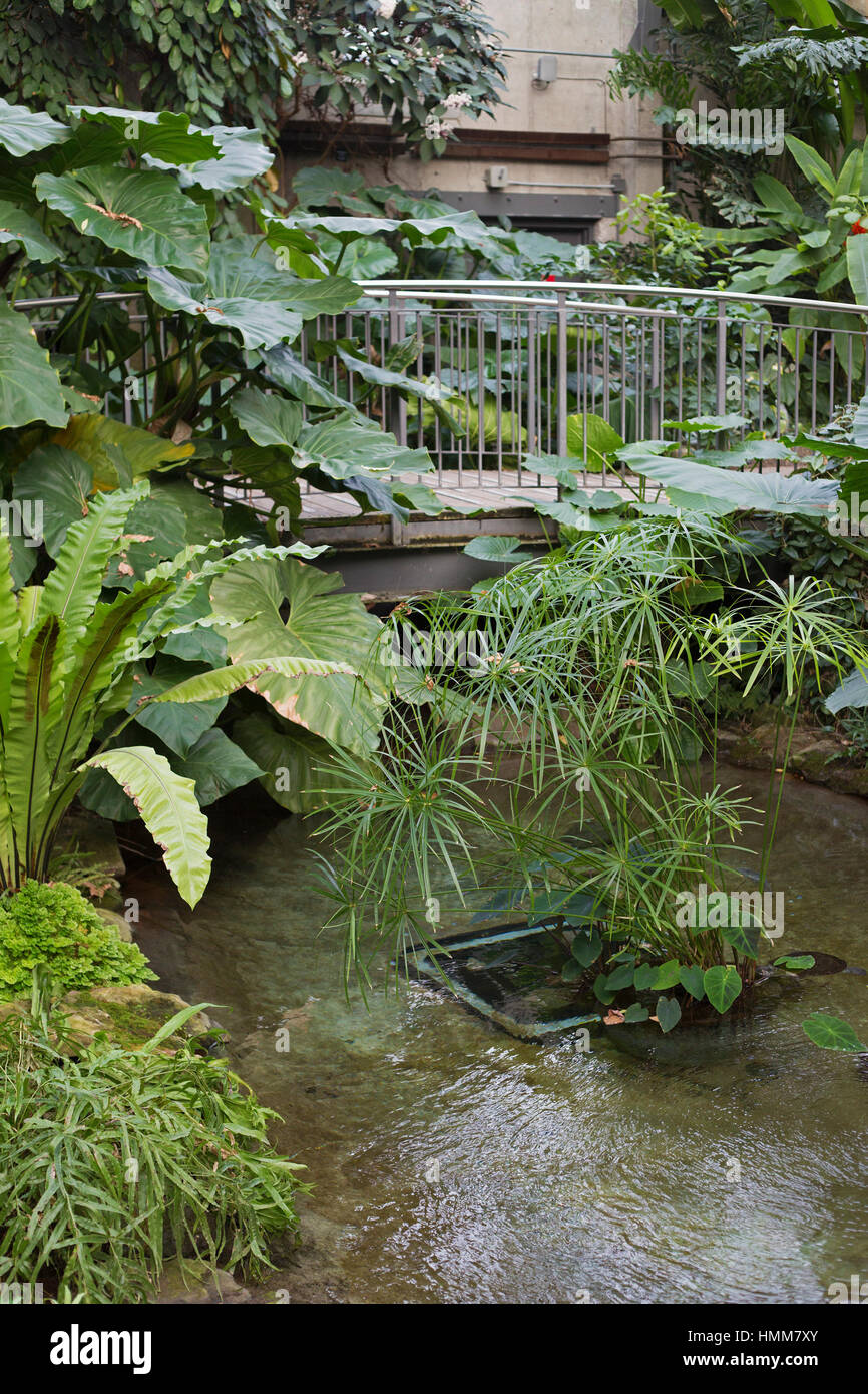 Calgary zoo rain forest hi-res stock photography and images - Alamy