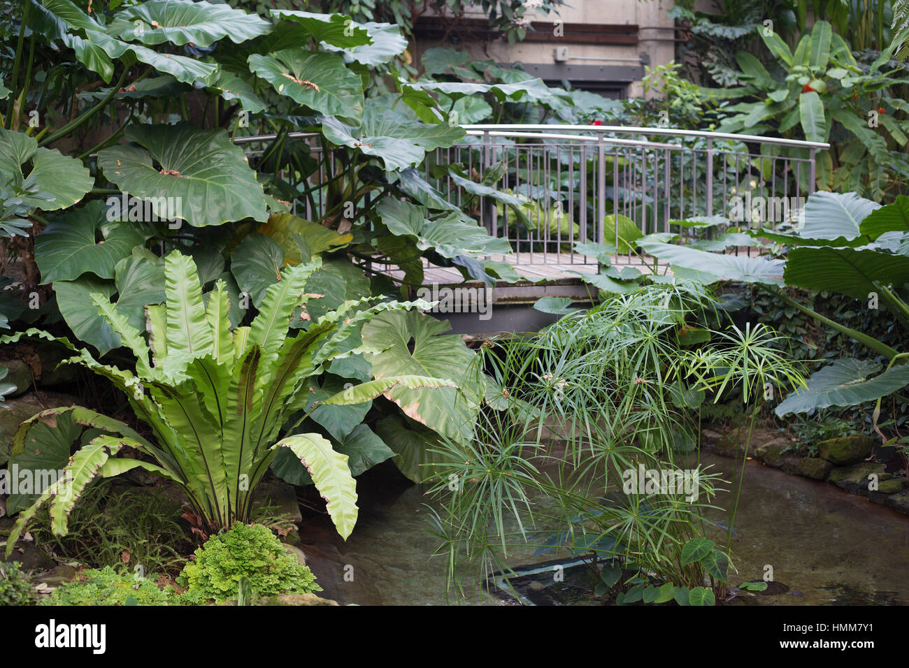 Bridge over pond in the Garden of Life at the Calgary Zoo Stock Photo ...